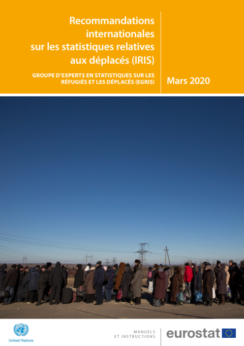 International Recommendations on IDP Statistics (IRIS) - EGRISS