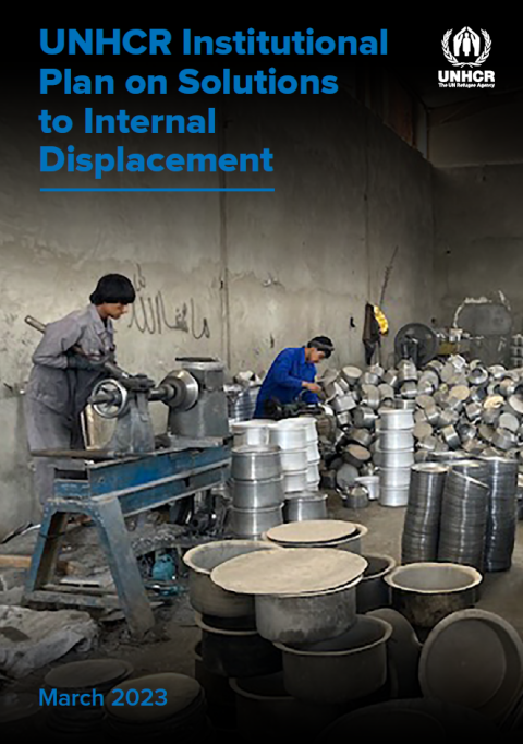 UNHCR – Institutional Plan on Solutions to Internal Displacement - EGRISS